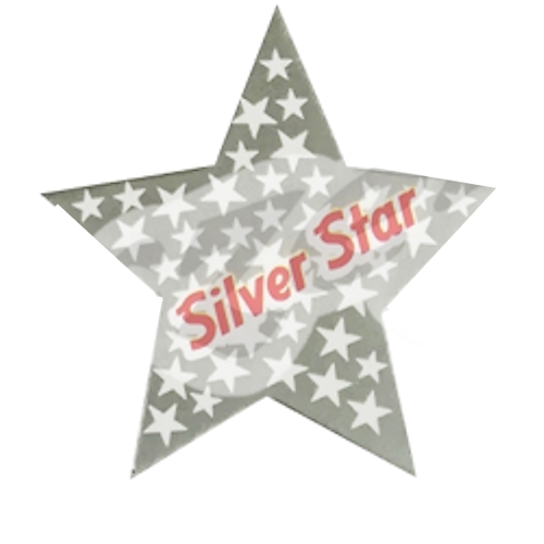 SILVER STAR STICKERS (LARGE)
